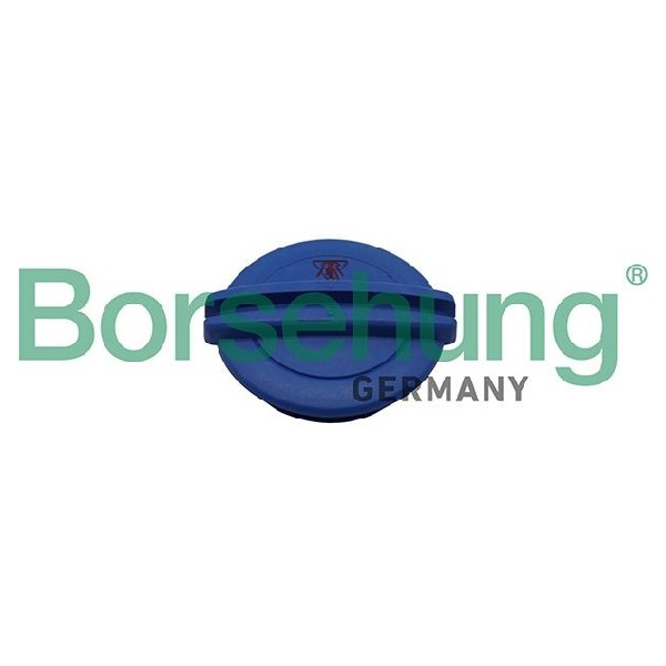 Tapa deposito refrigerante motor Borsehung Audi A3 - TT/ Porsche ...